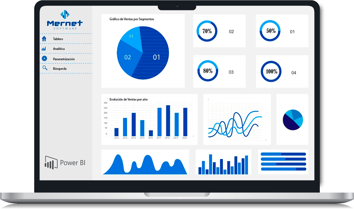 Business Intelligence - Mernet Software